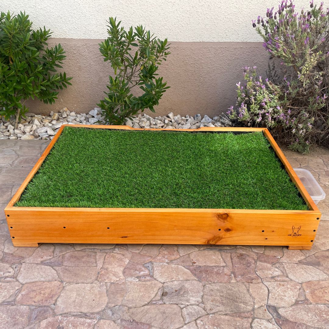 Baño ecológico para perro- tamaño grande pasto sintético – mrwouff