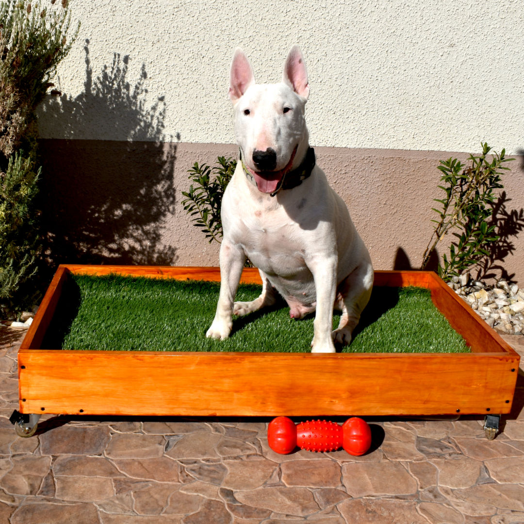 Baño Ecológico para Perro - Tamaño mediano pasto natural – mrwouff